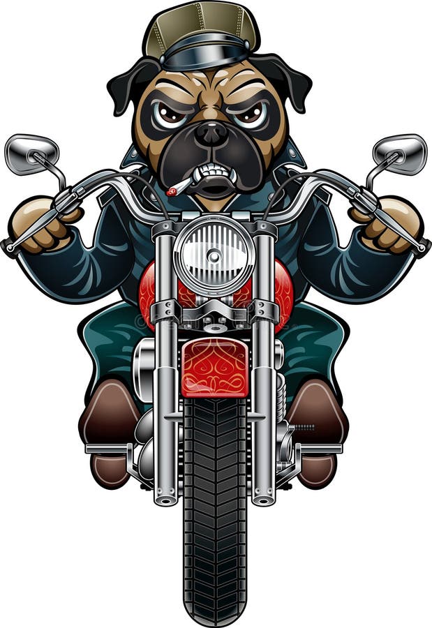 Pug Dog Driving on a Motorcycle Stock Vector - Illustration of leather ...