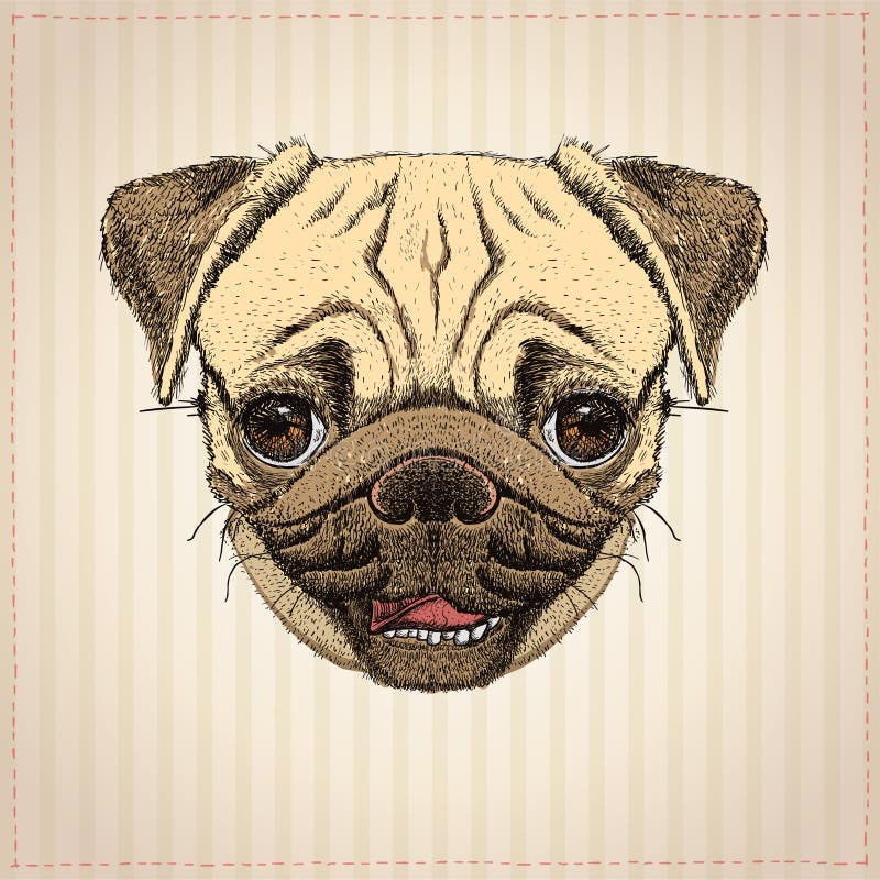 Pug dog graphic portrait stock vector. Illustration of background ...