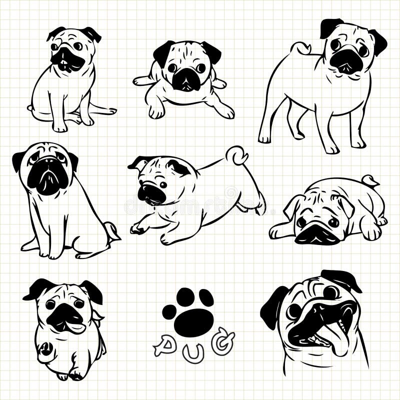 Pug dog stock illustration. Illustration of element, sketch - 61976085