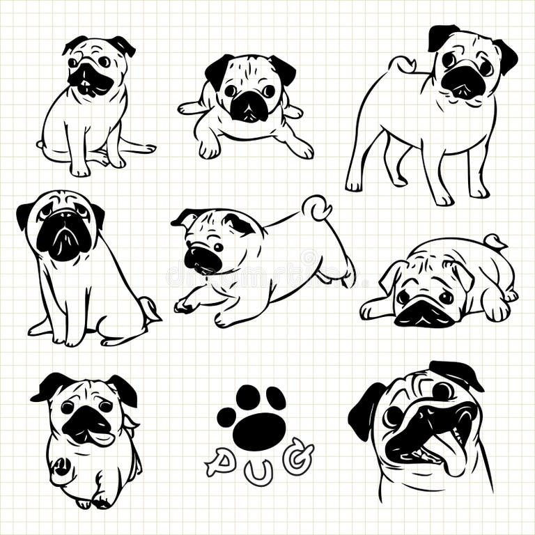 Pug Line Drawing Stock Illustrations – 2,461 Pug Line Drawing Stock ...