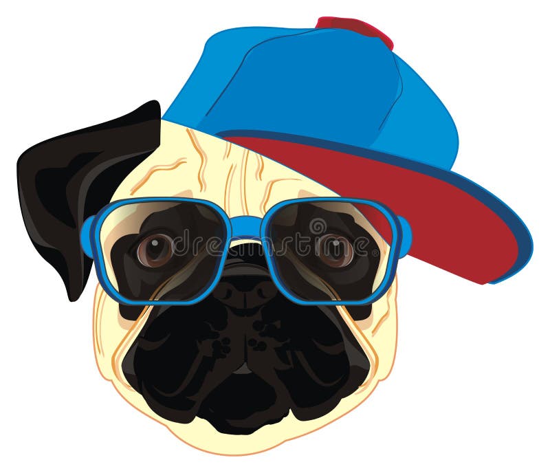 Pug in trendy cap stock illustration. Illustration of snout - 159167403