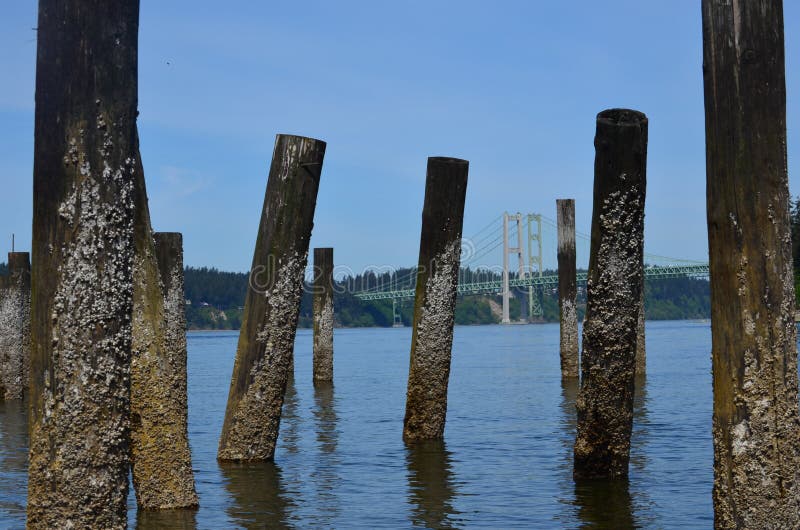 Puget Sound stock photo. Image of posts, harbor, washington - 70277590