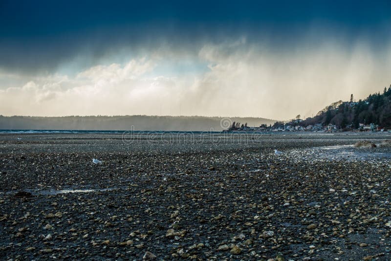 Puget Sound Shoreline stock image. Image of seabed, sunlight - 67665803