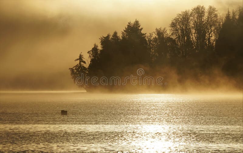 Puget sound sunrise stock image. Image of lake, puget - 81107555