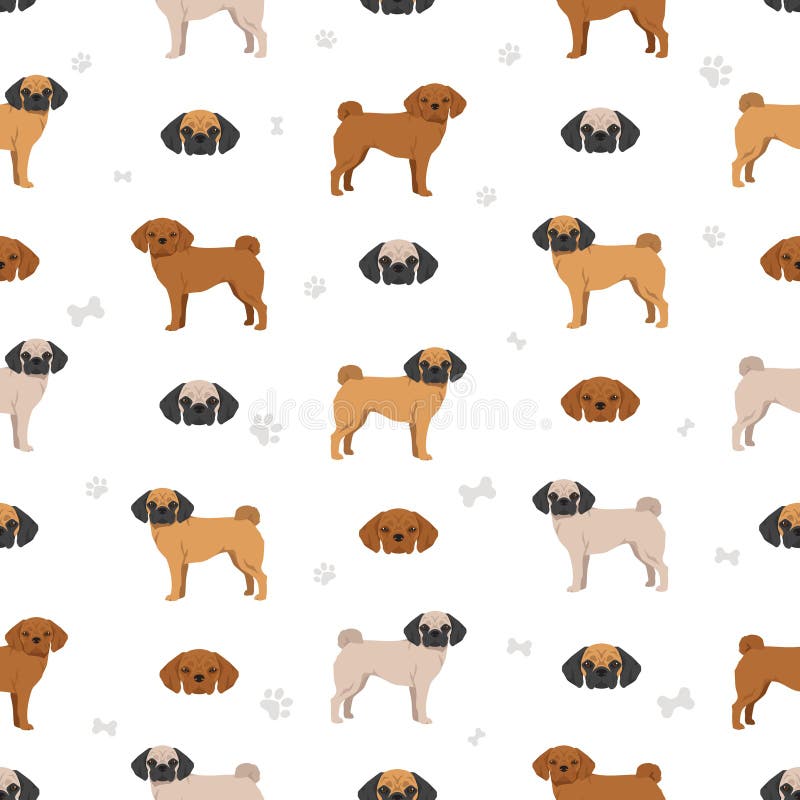 Puggle Seamless Pattern. Pug Beagle Mix Stock Vector - Illustration of ...