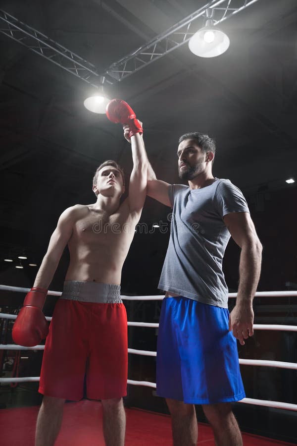 Winning boxer stock photo. Image of buff, determination - 36911682