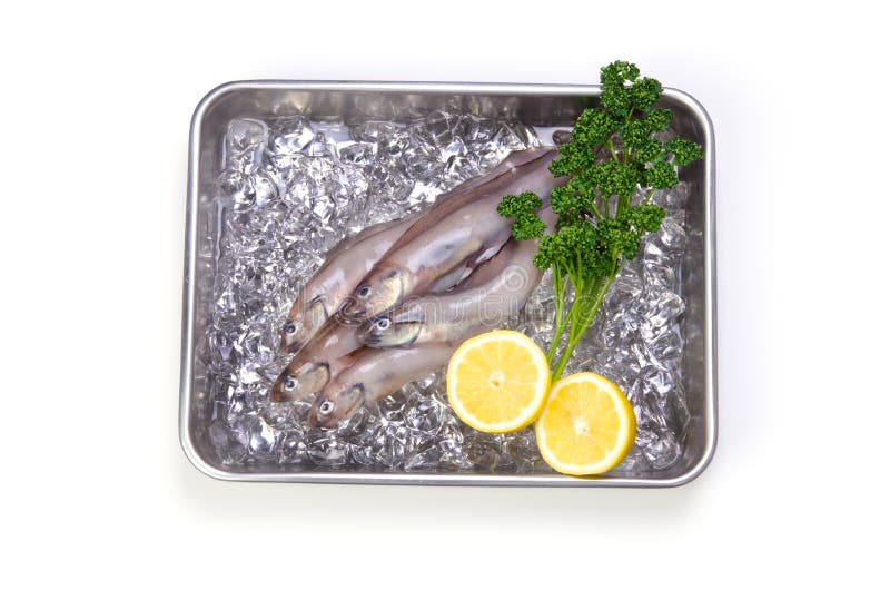 Puitaal stock foto. Image of dieet, vers, diner, organisch - 24224330