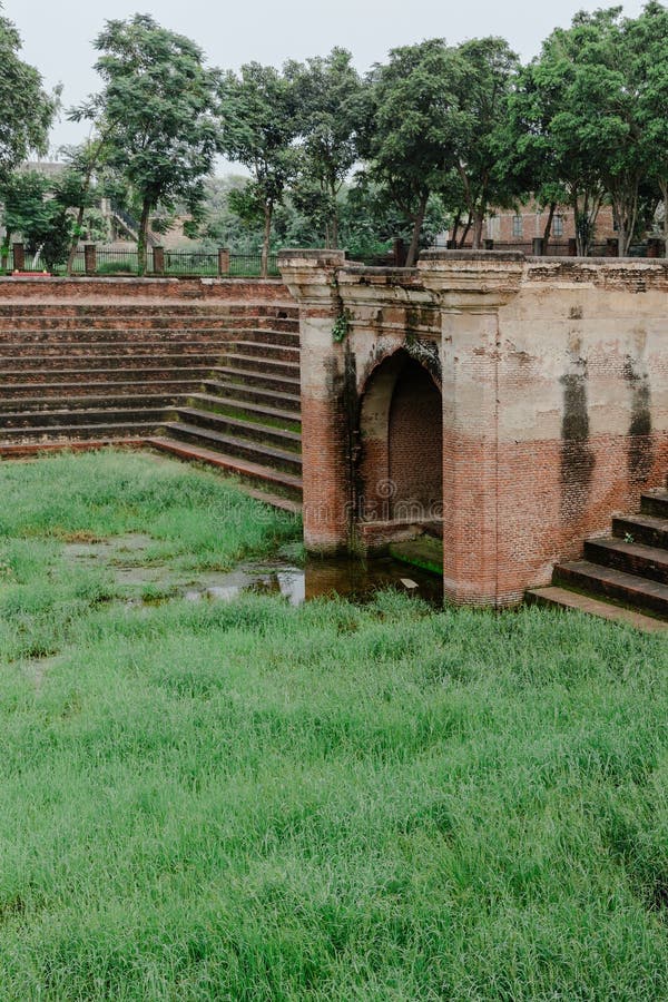 Pul Kanjri, Punjab, India. stock photo. Image of eucalyptus - 287746010