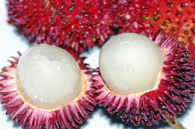 Pulasan fruits stock image. Image of spectacular, tropical - 28289321