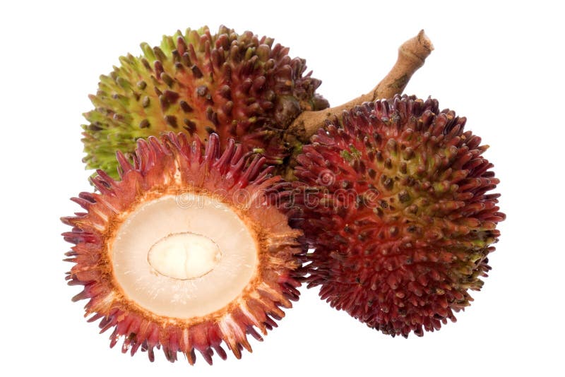 Pulasan Fruits Isolated stock image. Image of exotic, sweet - 6090623