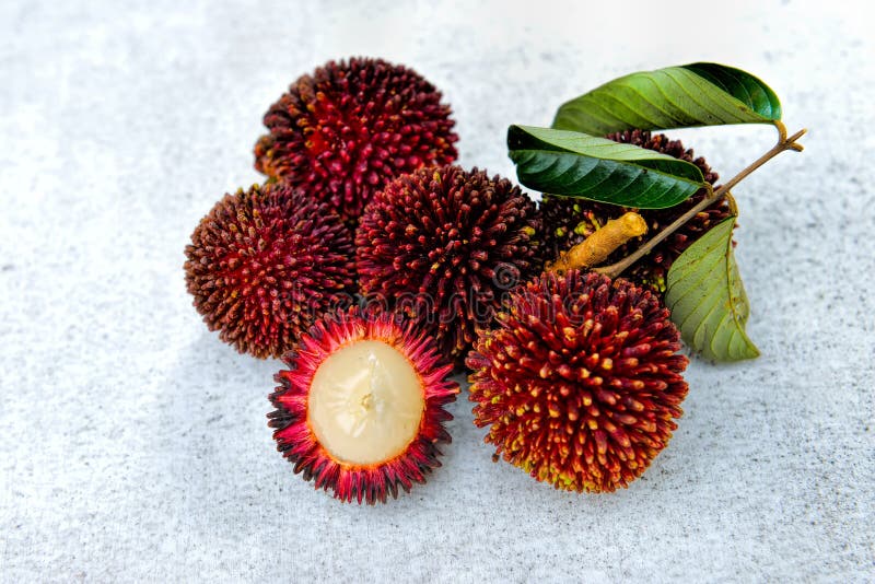 Pulasan Fruits Isolated stock image. Image of exotic, sweet - 6090623