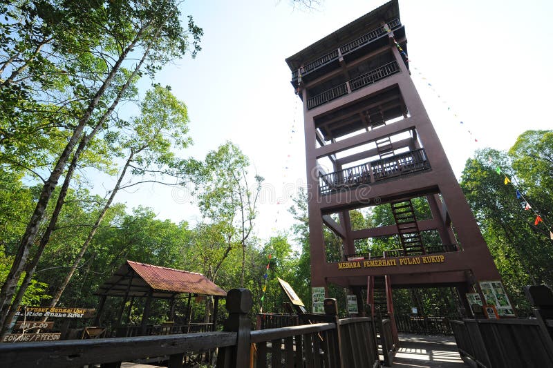 Kukup Island editorial photography. Image of mangrove - 144869192