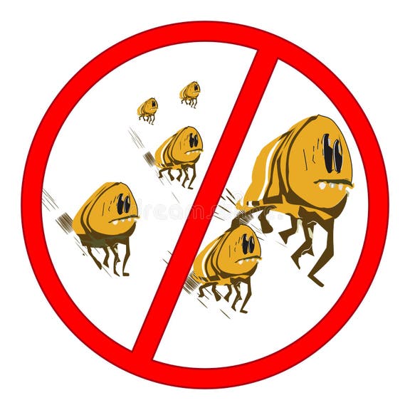 Pulce non permessa illustrazione vettoriale. Illustrazione di morso ...