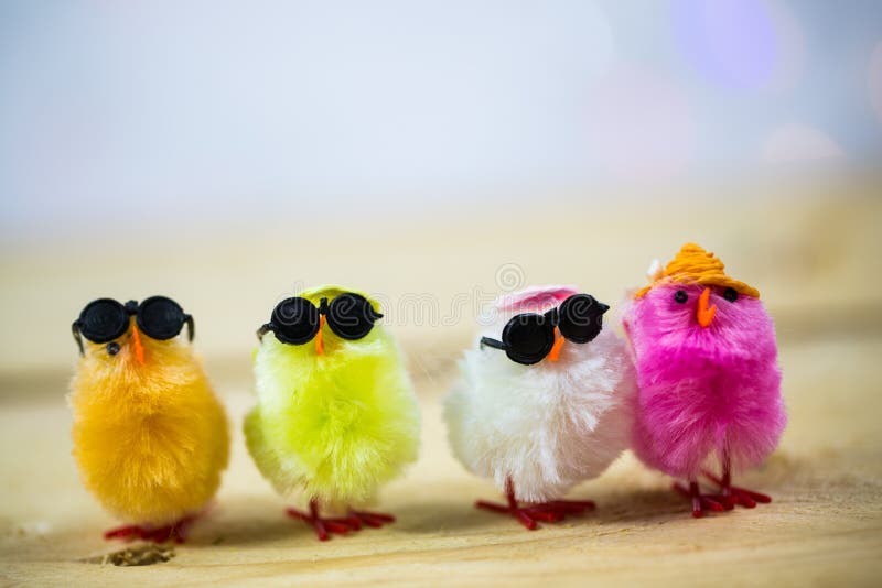 Pulcini Variopinti Divertenti Fotografia Stock - Immagine di colazione ...