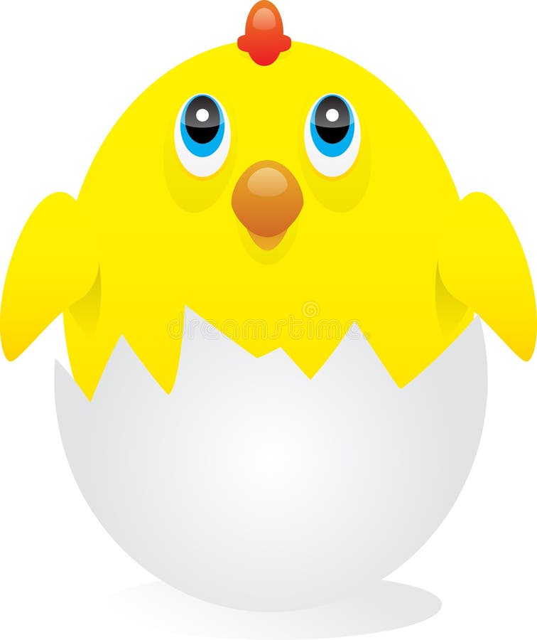 Pulcino illustrazione vettoriale. Illustrazione di cerchio - 4537051