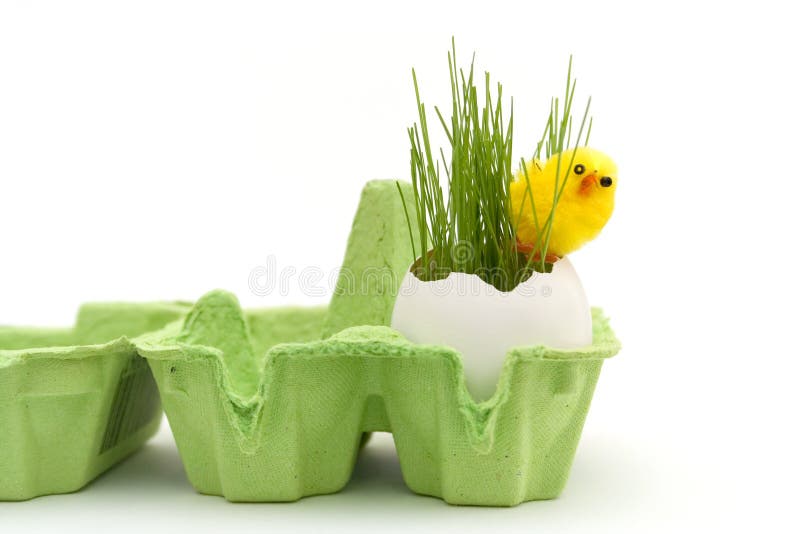 Pulcino di Pasqua immagine stock. Immagine di isolato - 2060839
