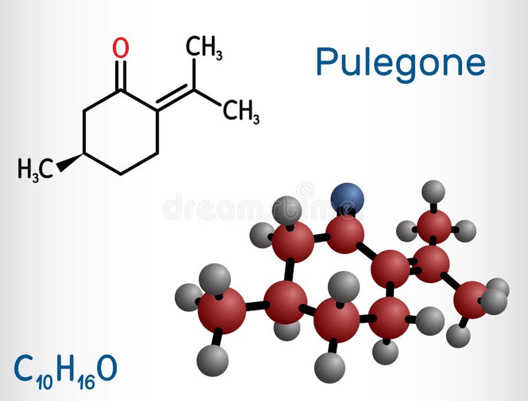 Pulegone Molecule. it is Natural Component of Essential Oils Stock ...