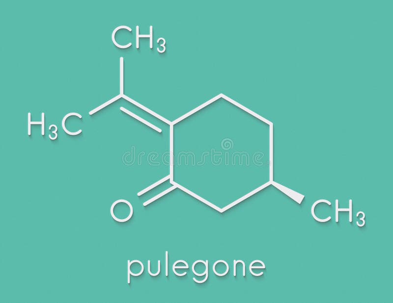 Pulegone Molecule. Skeletal Formula. Stock Illustration - Illustration ...