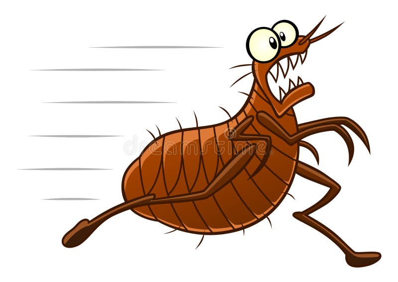Pulga Asustada De Funcionamiento Ilustración del Vector - Ilustración ...