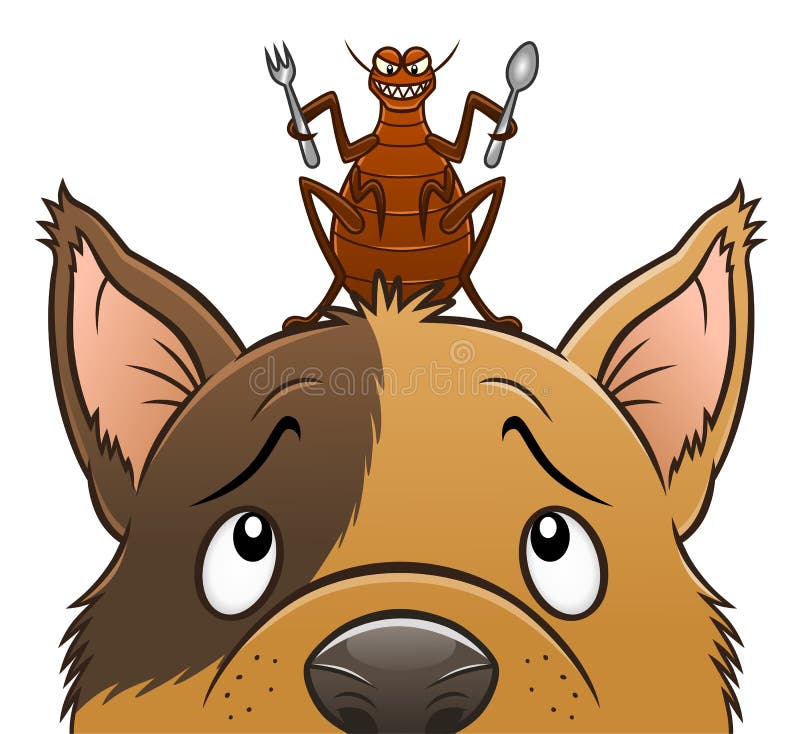 Pulga Que Va a Comer El Perro Ilustración del Vector - Ilustración de ...
