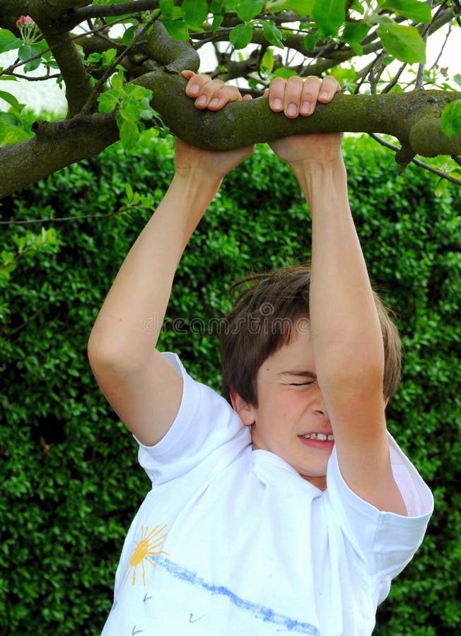 Pull-up stock image. Image of joke, face, concept, branch - 9541075