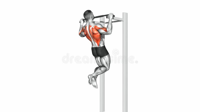Pull Up Exercise. Back Muscles Stock Video - Video of deltoids ...