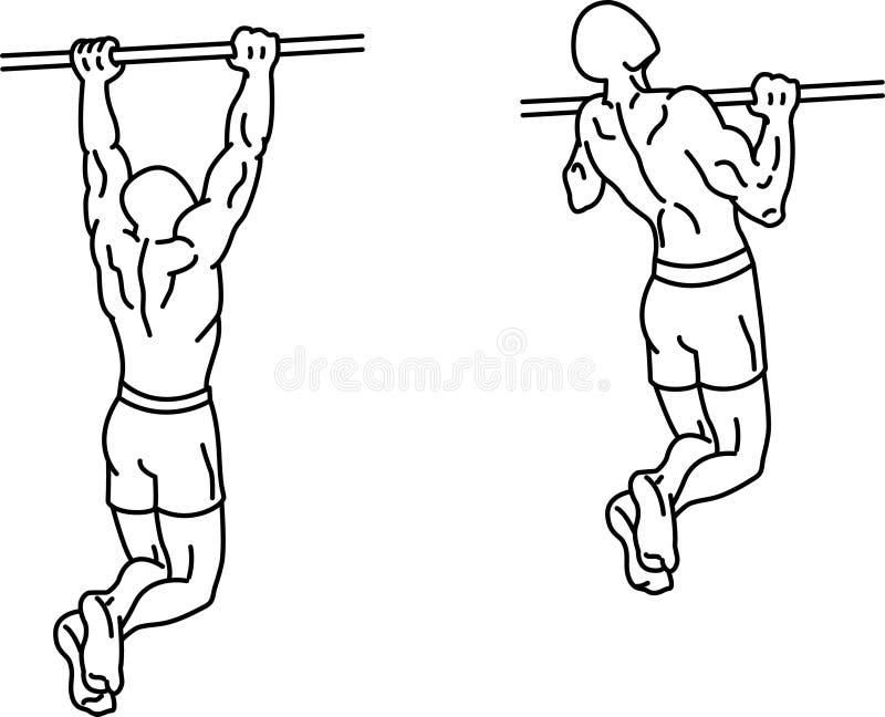 Pull Up. Exercises and Training with Weights Stock Vector ...