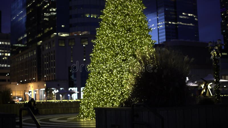 Pulling Focus in Illuminated Christmas Tree in City at Night. Christmas ...