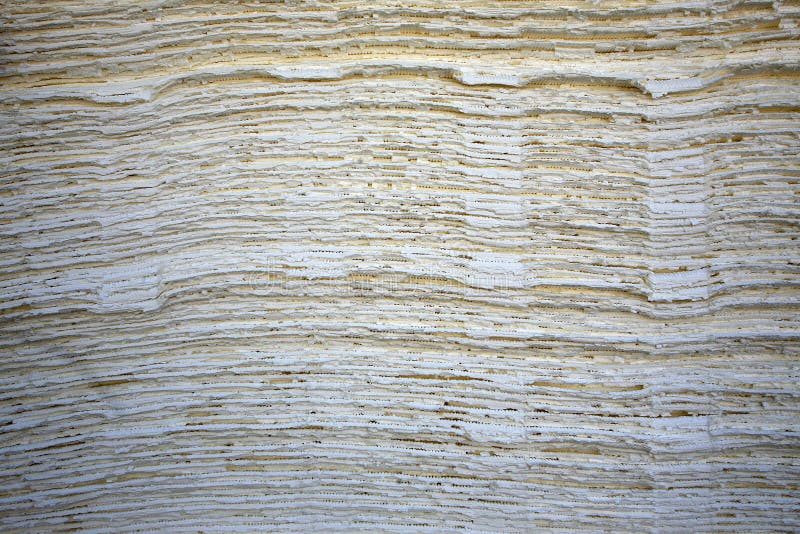 Pulp cellulose stock photo. Image of clear, paper, fibers - 213488120