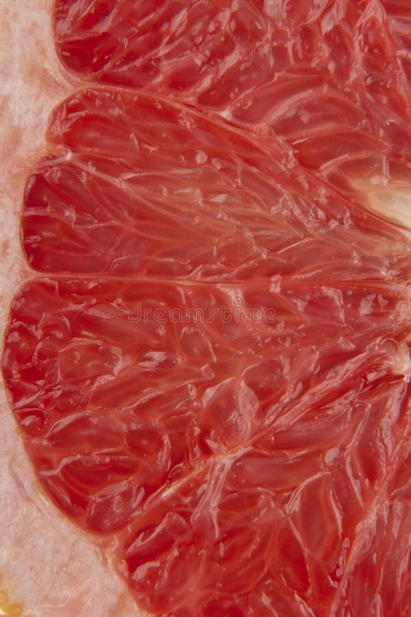 Pulp of Grapefruit Close-up Stock Image - Image of lifestyle, freshness ...