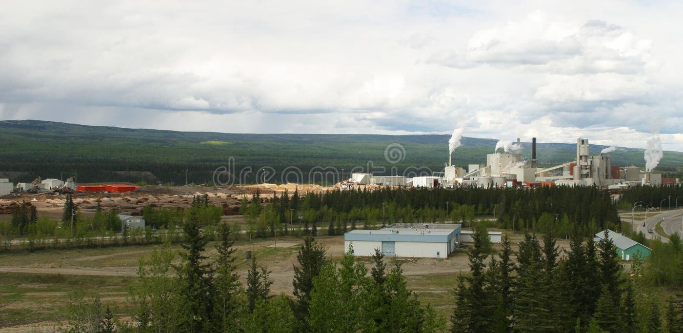 1,608 Pulp Trees Stock Photos - Free & Royalty-Free Stock Photos from ...