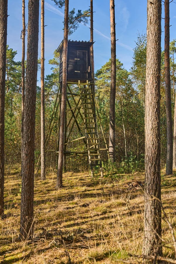 A Pulpit, a Hunting Lookout in the Forest Stock Image - Image of hobby ...