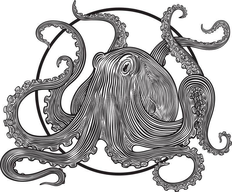 Pulpo, tatuaje ilustración del vector. Ilustración de ocular - 15305910