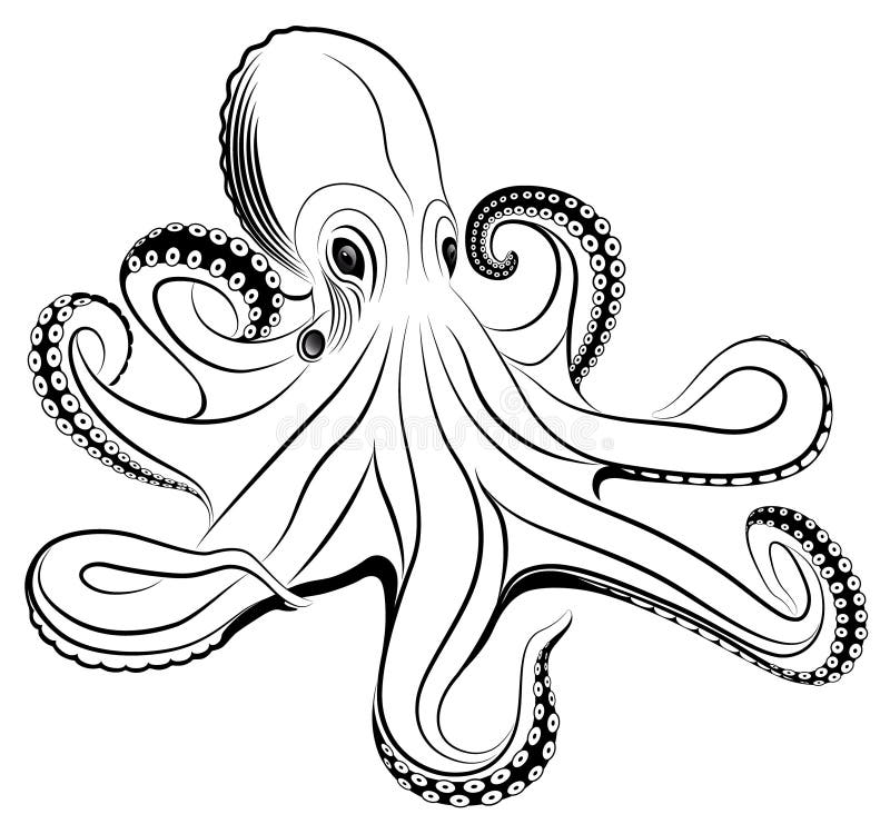 Pulpo, tatuaje ilustración del vector. Ilustración de ocular - 15305910