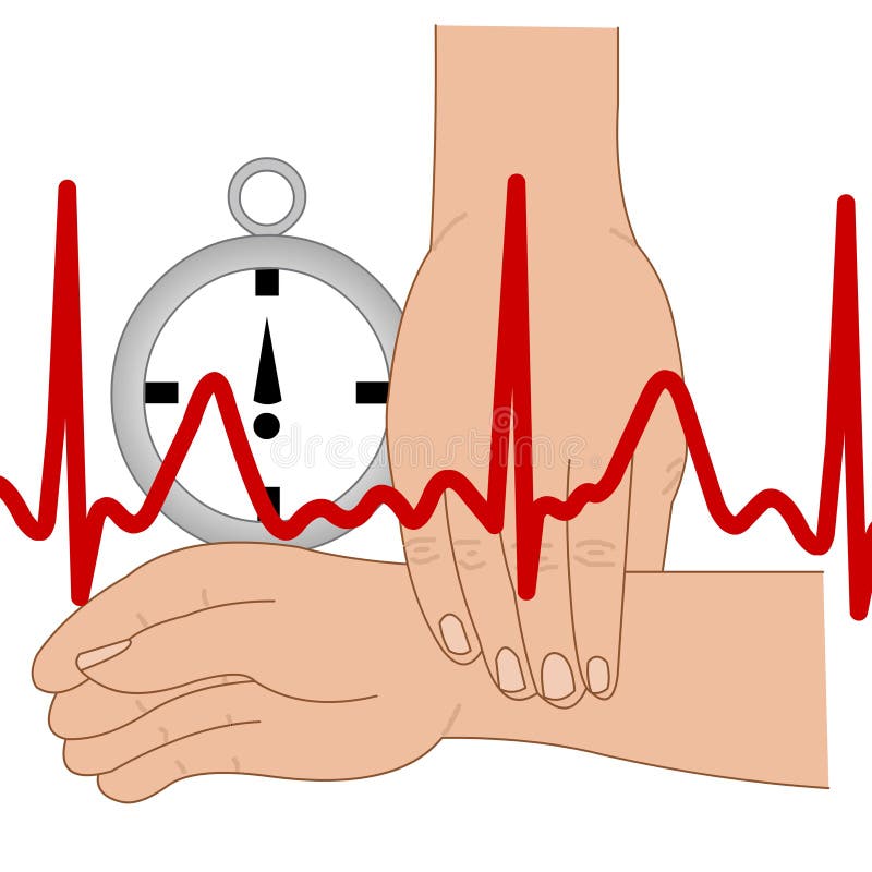 Pulse ekg stock vector. Illustration of hospital, hand - 13092966