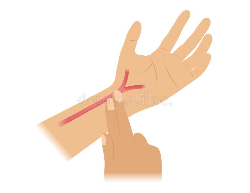 Pulse Measurement / Hand Touching Another Hand Stock Vector ...
