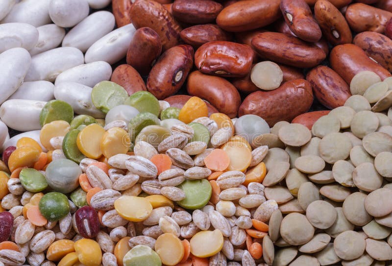 Pulse stock photo. Image of broad, ingredient, colourful - 35988666