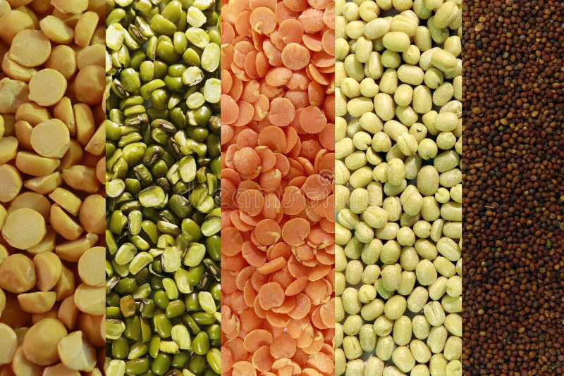 Pulse Spectrum stock photo. Image of pulse, gram, vertical - 88783228