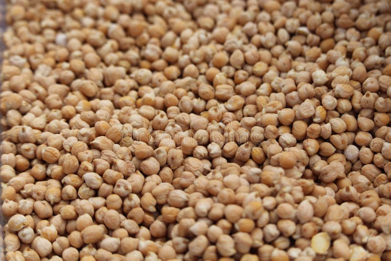 215 Beautiful Pulses Photos - Free & Royalty-Free Stock Photos from ...