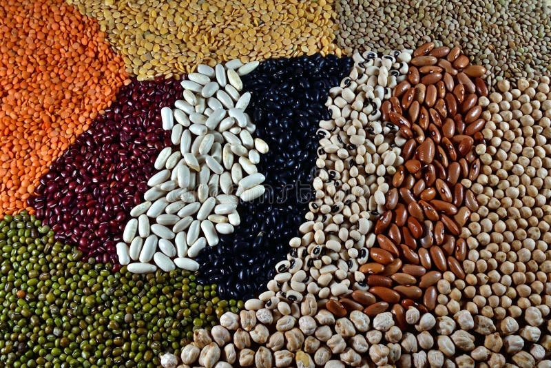 Pulses. stock image. Image of green, barley, close, pulses - 763361