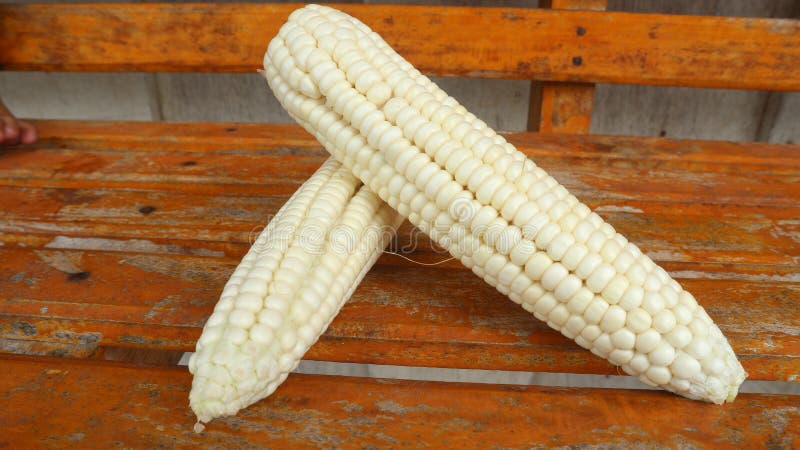 Pulut Corn is One Type of Corn that Has a Special Character, Namely ...