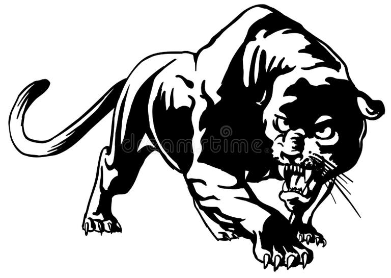 Puma ilustração do vetor. Ilustração de garra, assalto - 43715177