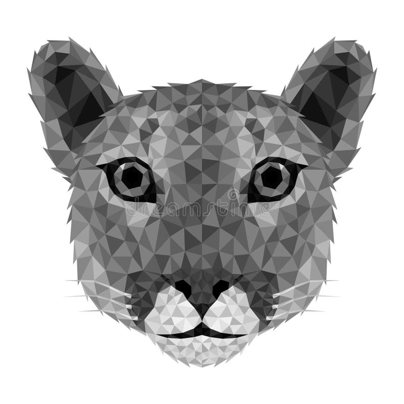Puma Cougar Low Poly. Low Poly Puma Face Stock Vector - Illustration of ...