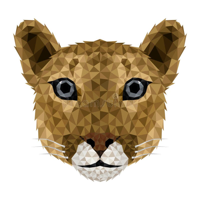 Puma Cougar Low Poly. Low Poly Puma Face Stock Vector - Illustration of ...