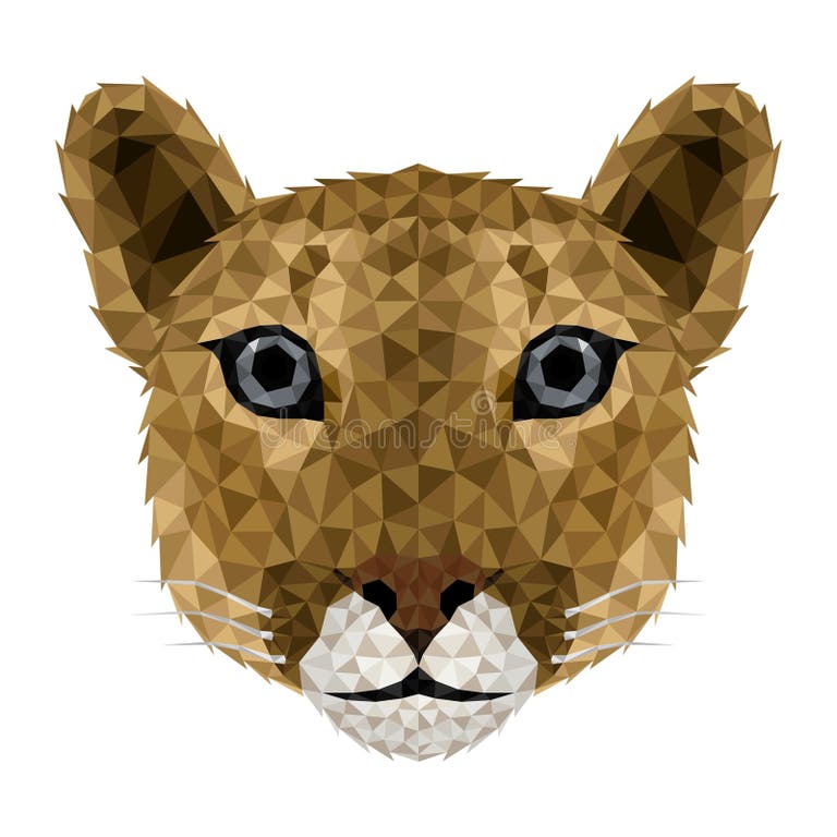 Puma Cougar Low Poly. Low Poly Puma Face Stock Vector - Illustration of ...