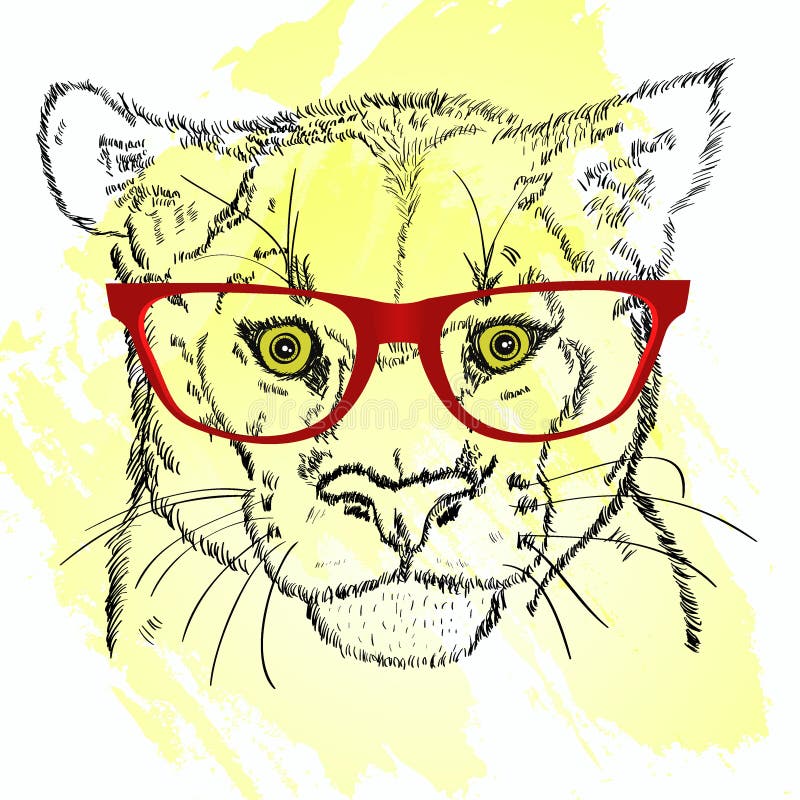 Puma Head, Sketch Vector Graphic Colorful Illustration on White ...