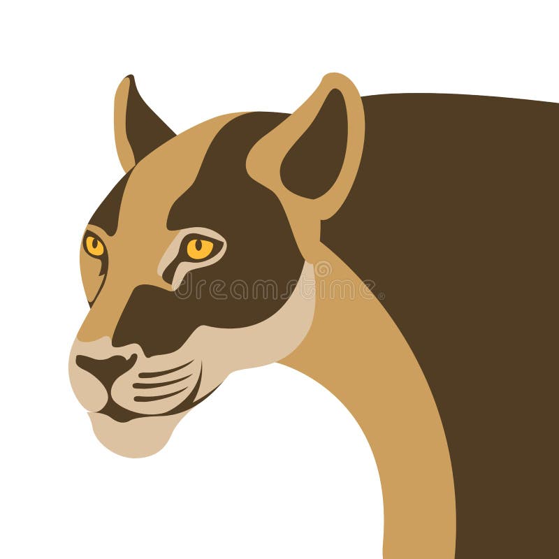 Puma Head Vector Illustration Style Flat Stock Vector - Illustration of ...