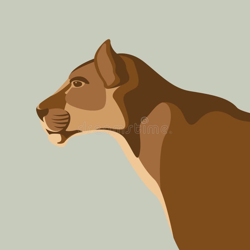 Puma Vector Illustration Style Flat Profile Stock Vector - Illustration ...