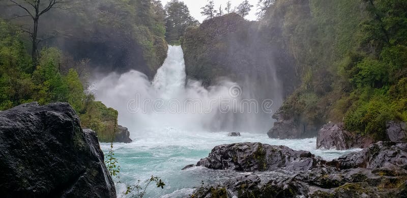 Puma waterfall stock photo. Image of forest, nature - 258505582