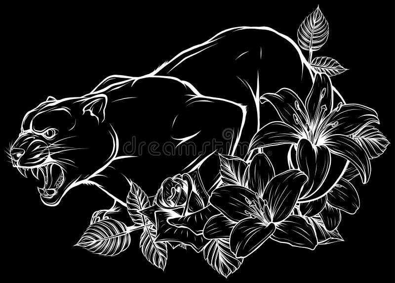 Contour Linear Drawing Illustration of the Wild Puma Stock Vector ...